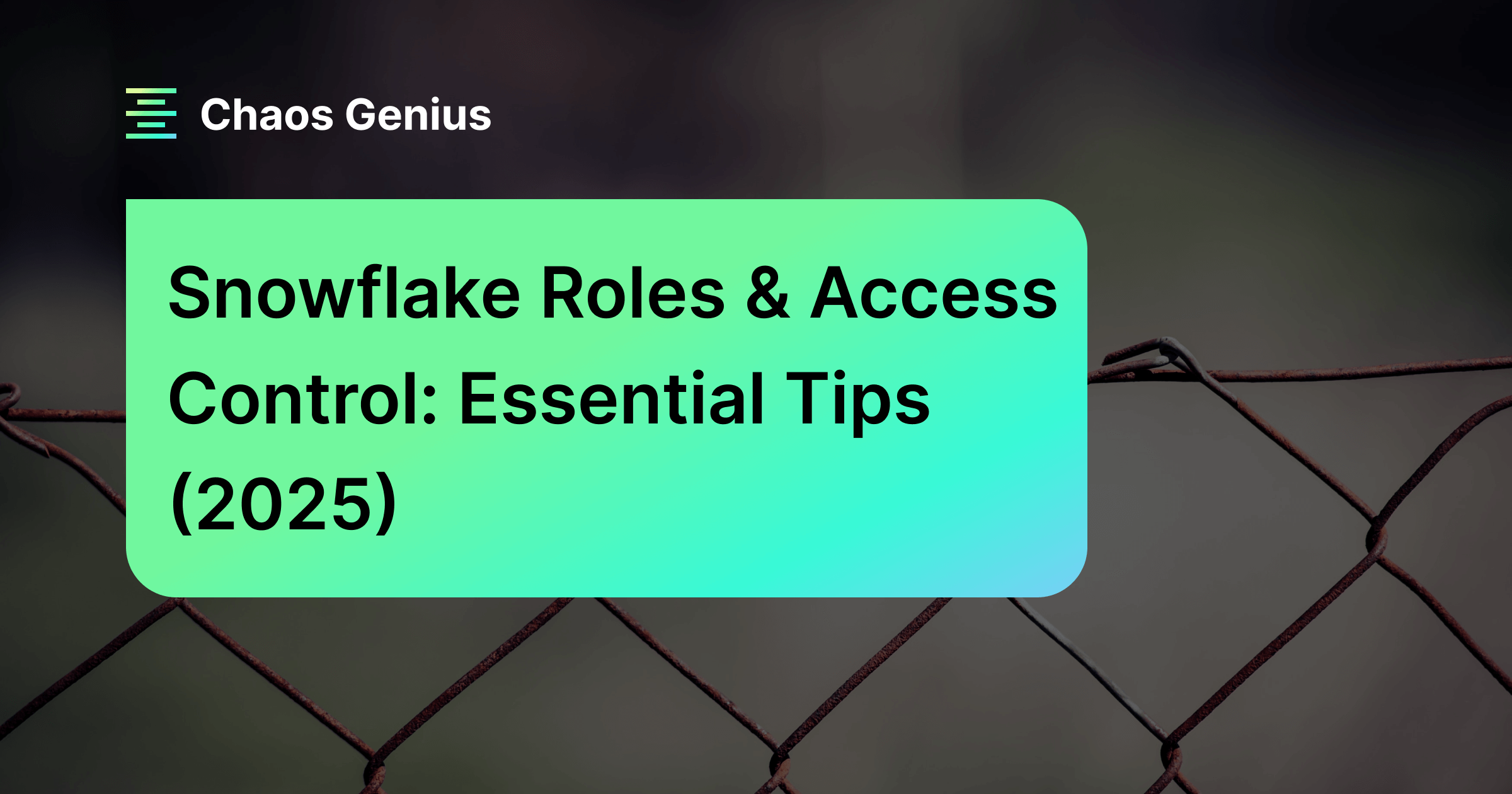 Snowflake Roles & Access Control: Essential Tips (2025)