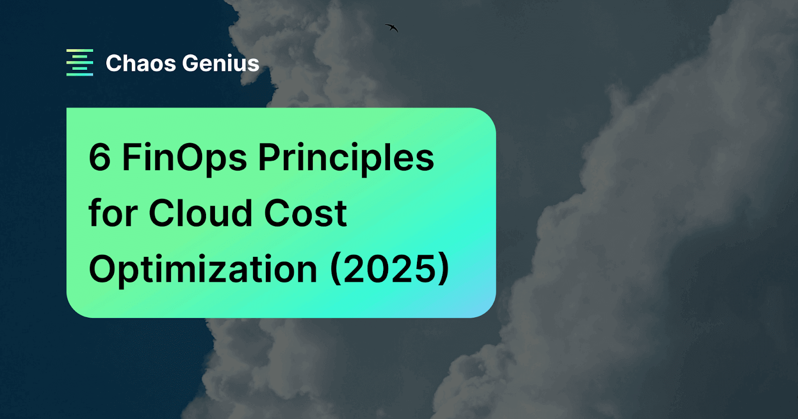 6 FinOps Principles for Cloud Cost Optimization (2025)