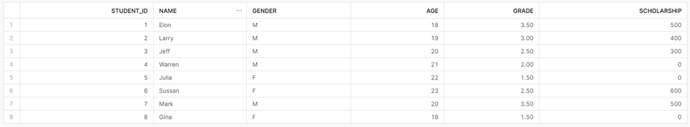 HOW TO: Apply Conditional Logic With Snowflake CASE (2025)