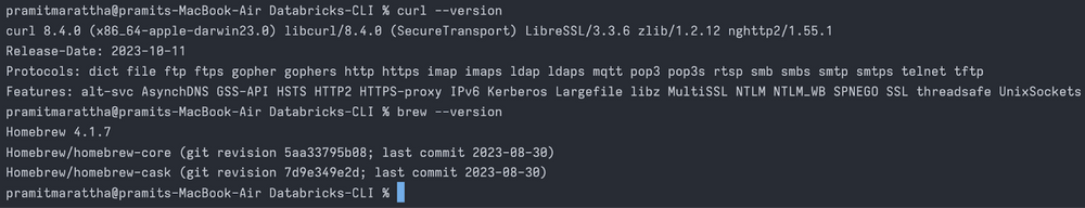 Databricks Cli 101 A Comprehensive Guide 2025