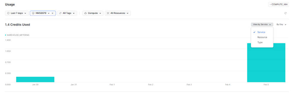 Snowflake Compute Costs 101—An In-Depth Guide (2025)