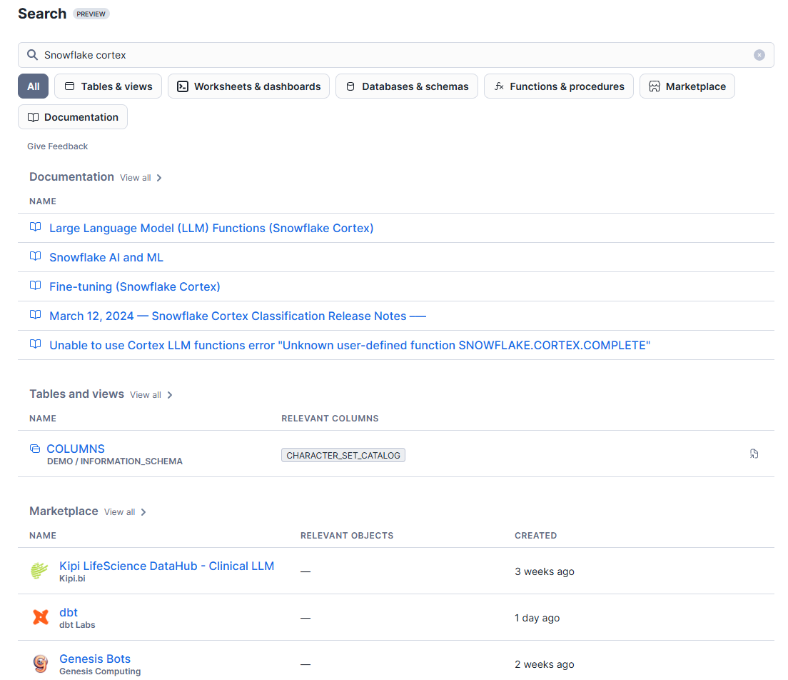 Snowflake AI: Latest Updates and Releases in 2024