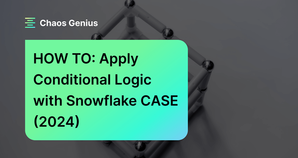 HOW TO: Apply Conditional Logic with Snowflake CASE (2024)