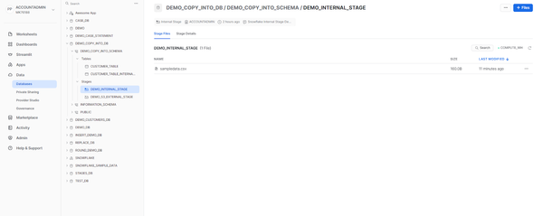 HOW TO: Load/Unload Data with Snowflake COPY INTO (2025)