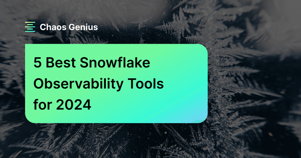 5 Best Snowflake Observability Tools for 2024