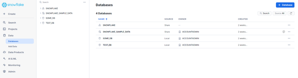 HOW TO: Use Snowflake DROP COLUMN to Remove Column (2025)