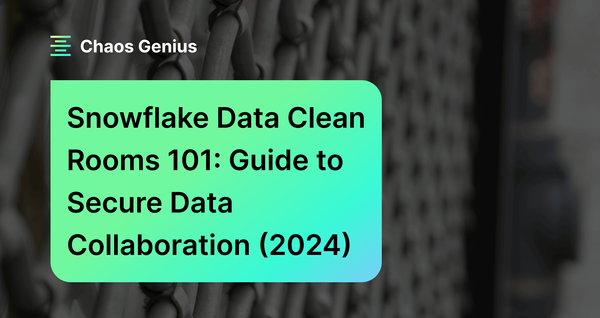 Snowflake Data Clean Rooms 101: Guide to Secure Data Collab (2024)