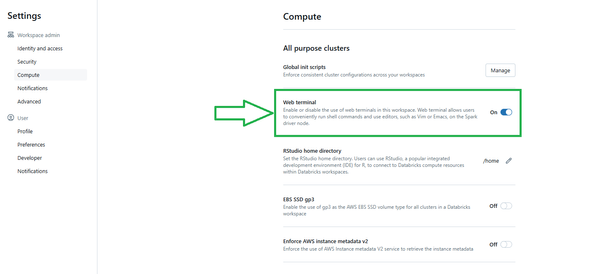 HOW TO: Run Bash in Databricks (2025)
