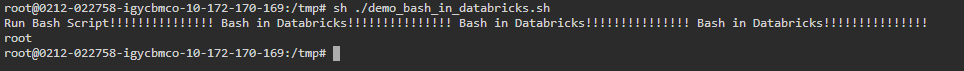 HOW TO: Run Bash in Databricks (2025)