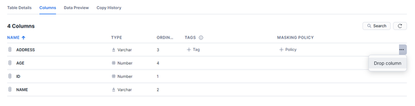 HOW TO: Use Snowflake DROP COLUMN to Remove Column (2025)
