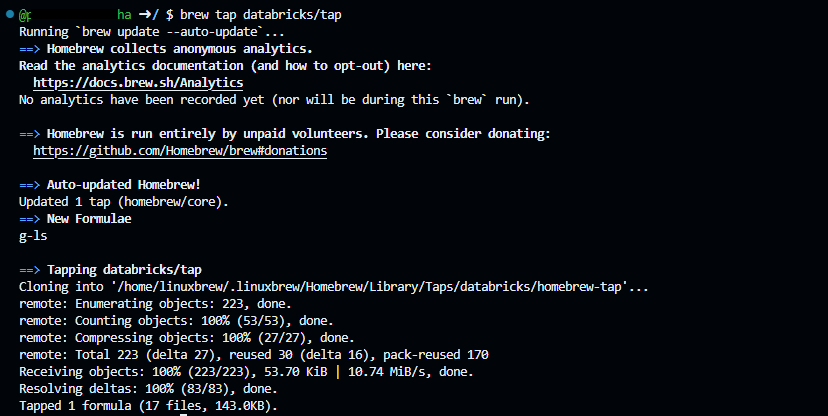 Databricks CLI 101: A Comprehensive Guide (2025)
